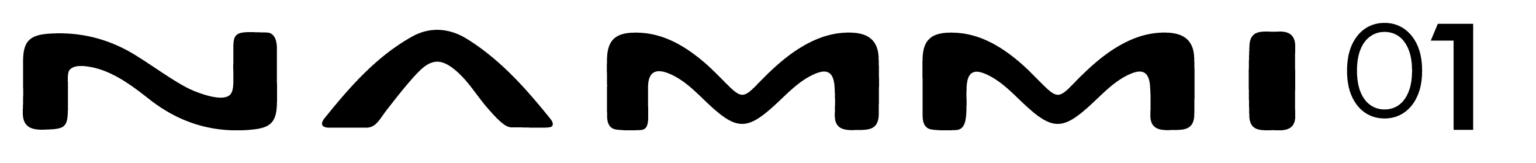 Modelo Nammi 01 | Dongfeng Costa Rica